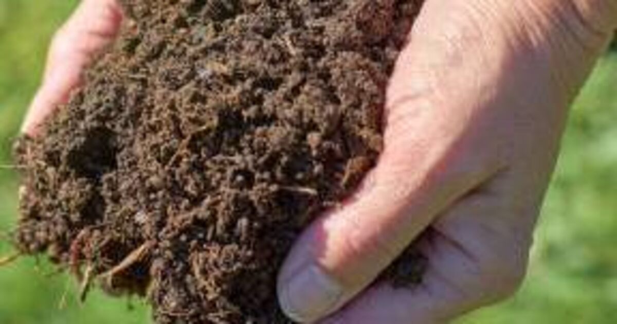 Garden Notes: Learn how to compost