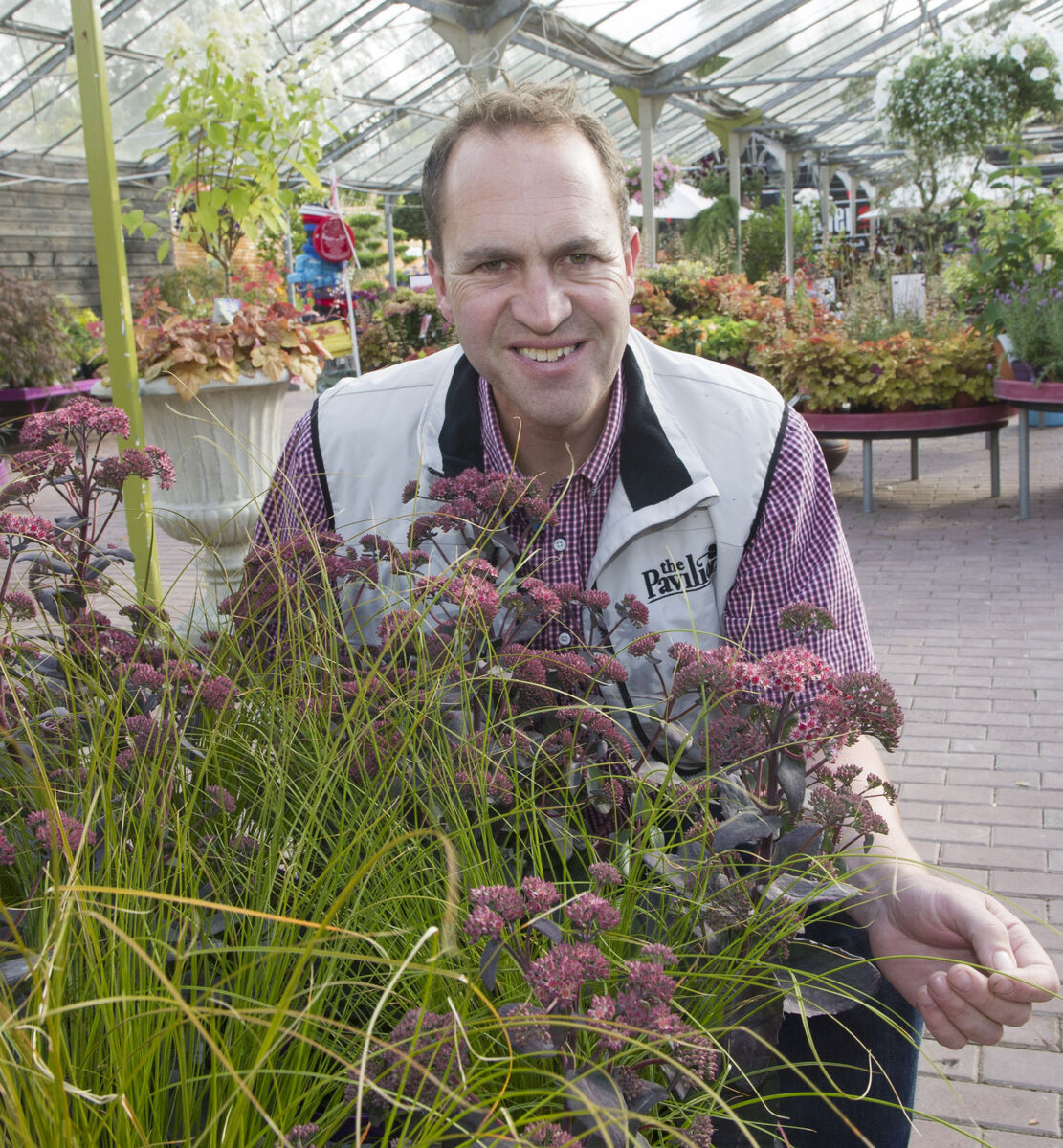 Peter Dowdall: Time to enjoy the green energy of spring in your garden