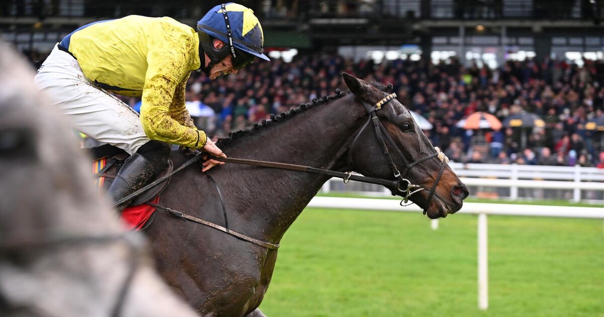 Barry Connell confident Marine Nationale can make Supreme mark