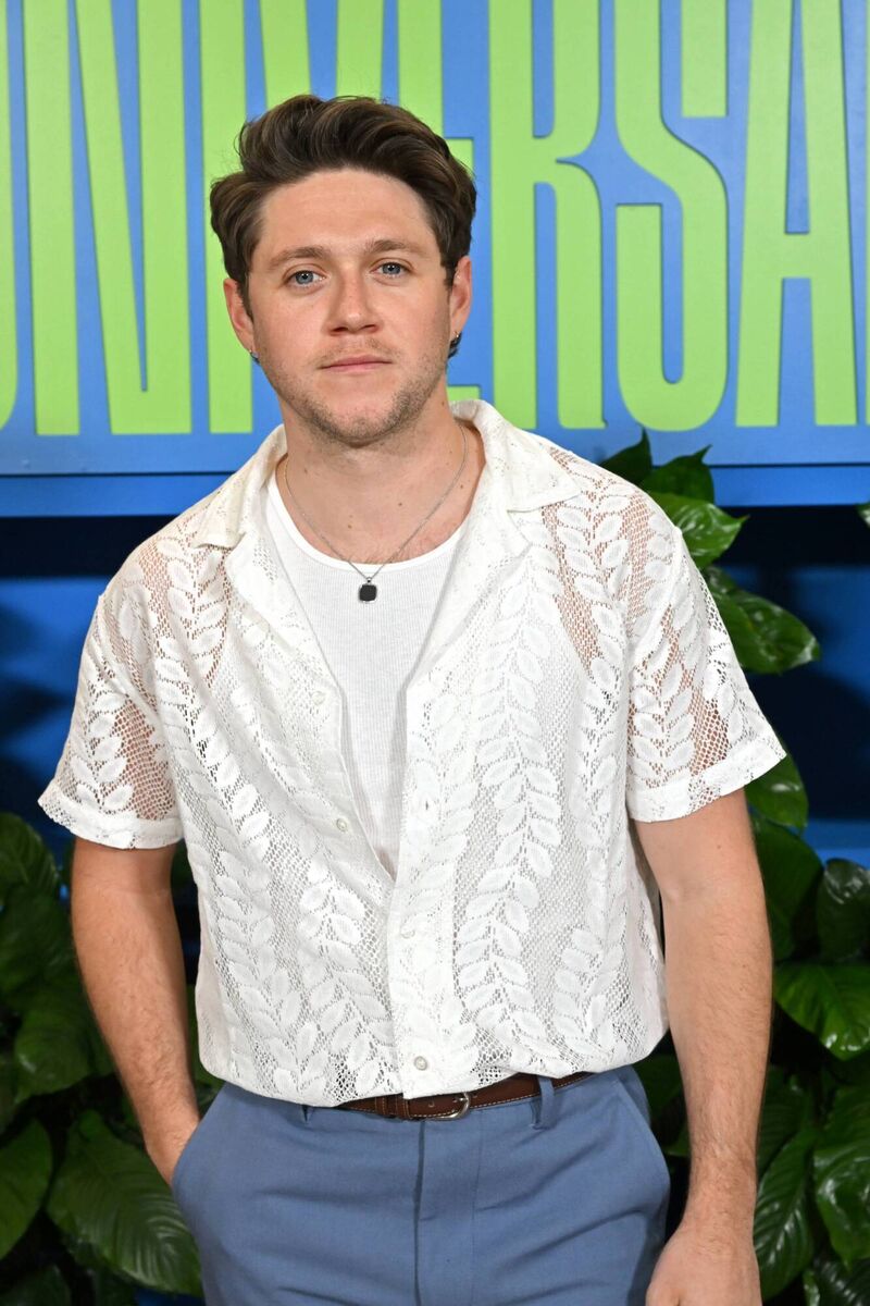 Watch: Niall Horan on his 22-step hair and skincare routine and his ...