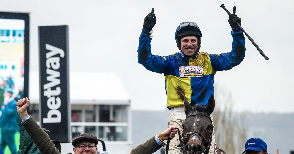 Langer Dan delivers long-awaited Cheltenham Festival victory