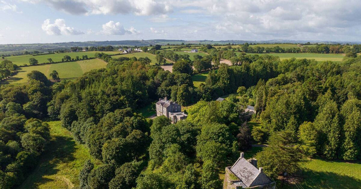 15th century Munster castle and €5m/€6m Dripsey estate bought by ...