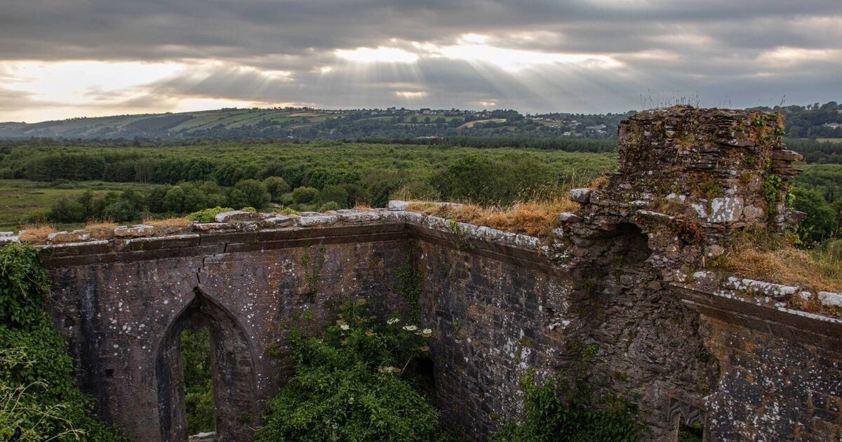 Kilcrea Friary: Rogue treasure hunters with metal detectors disturb ...