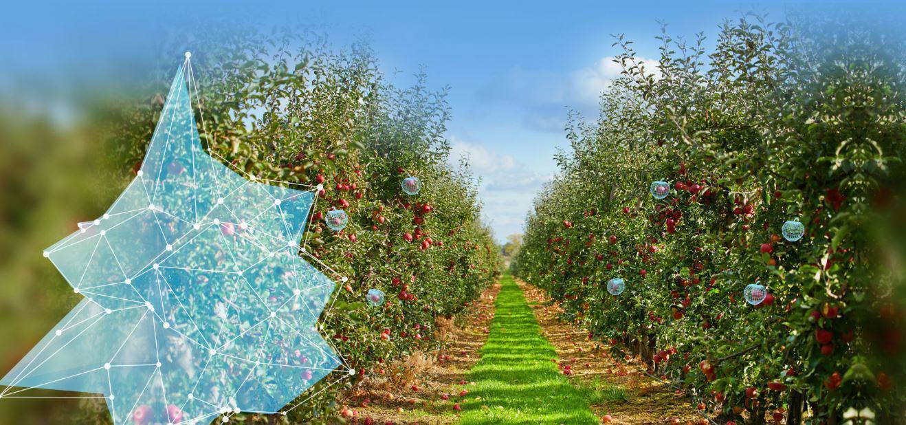 Flying autonomous robots take on orchard fruit picking