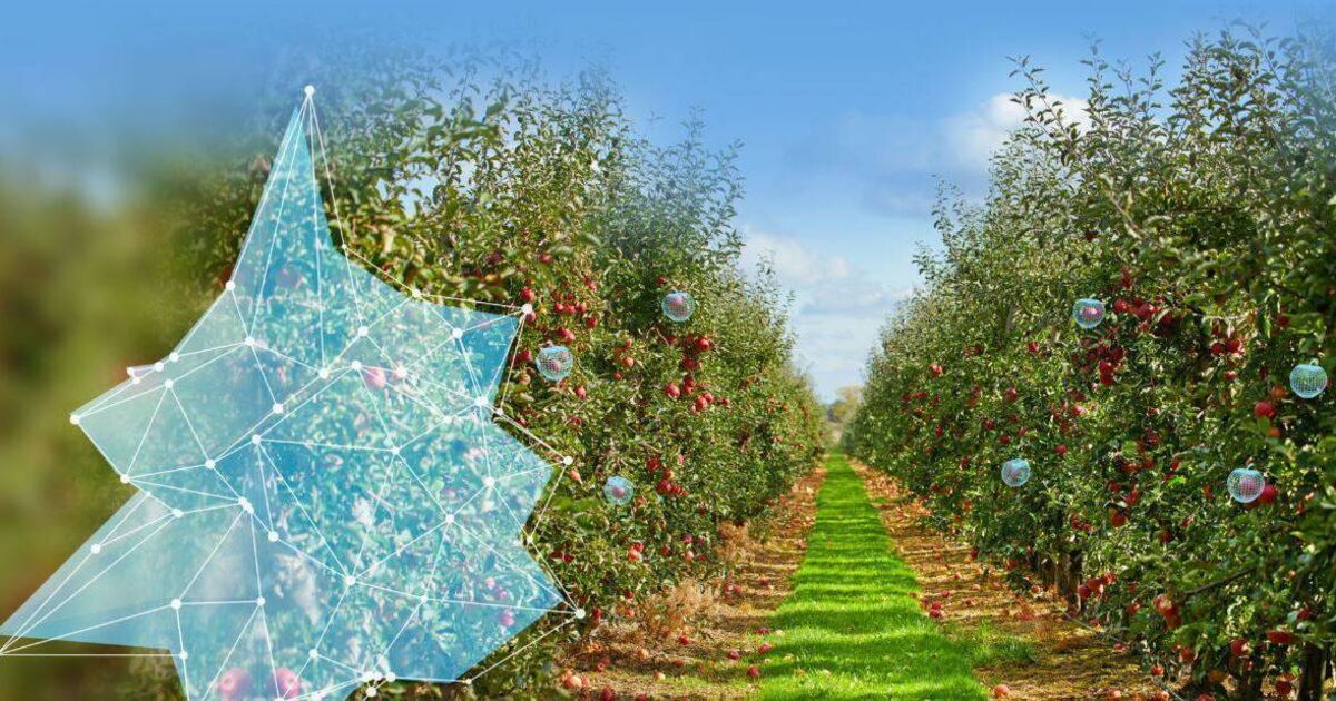 Flying autonomous robots take on orchard fruit picking