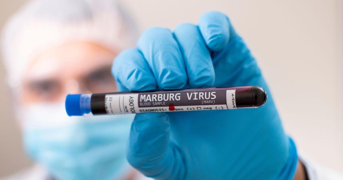 Equatorial Guinea confirms eight new cases of Marburg virus