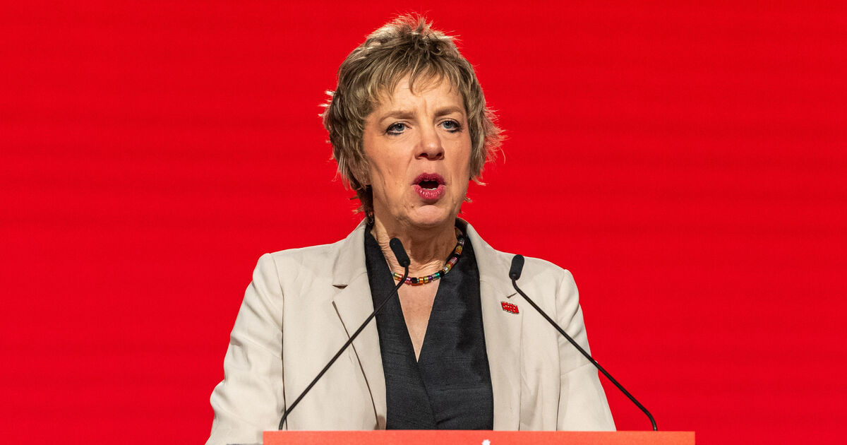 Ivana Bacik calls for gender-neutral Constitution