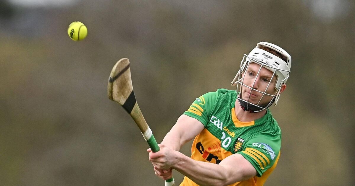 Lower Hurling League wrap-up: Donegal shock Wicklow, Armagh brush aside ...