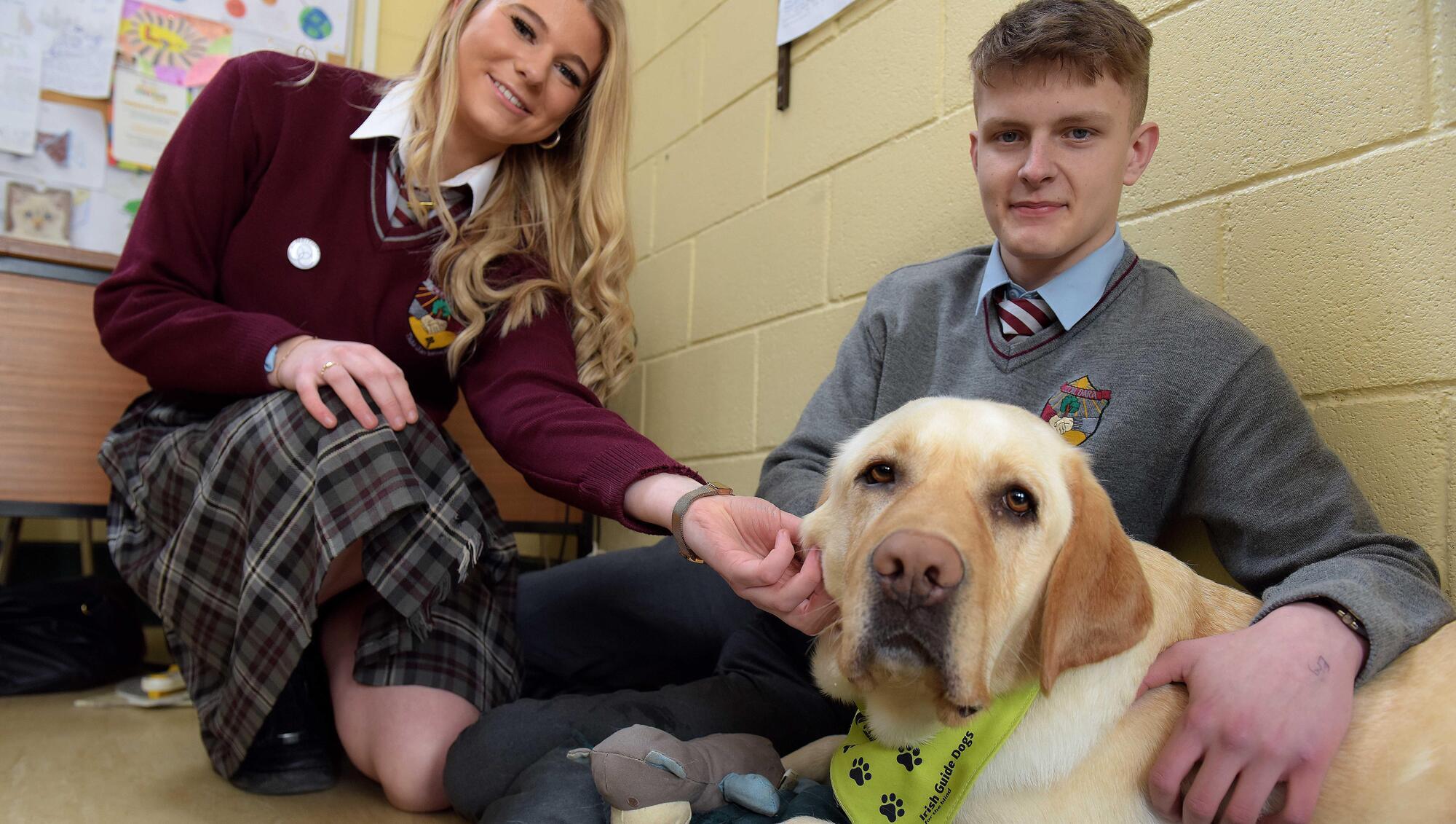 Kildare school's community dog 'a living symbol of our togetherness'