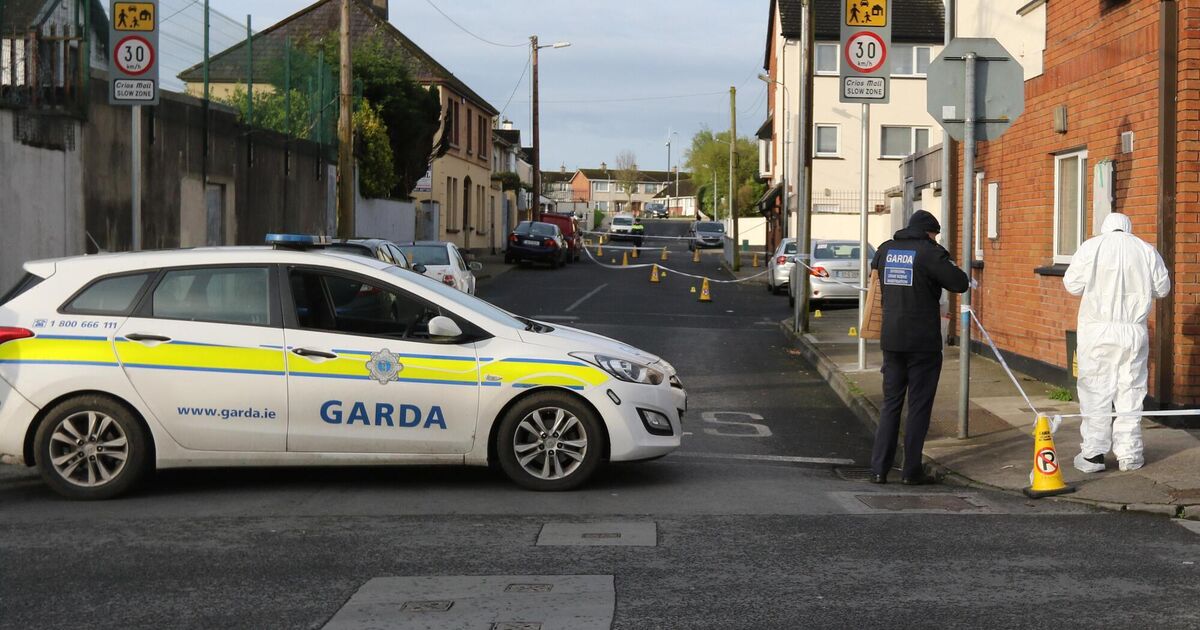 Two men critically injured following stabbings in Limerick