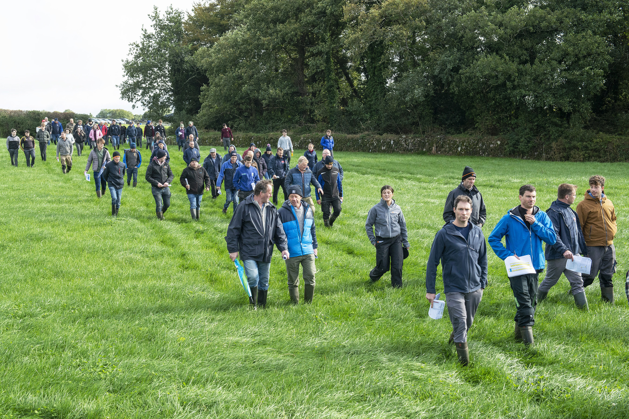 Suckler breeding farm walks launched