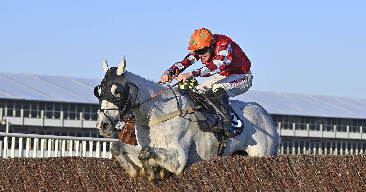 Tim Vaughan thrilled as Eva's Oskar makes National cut
