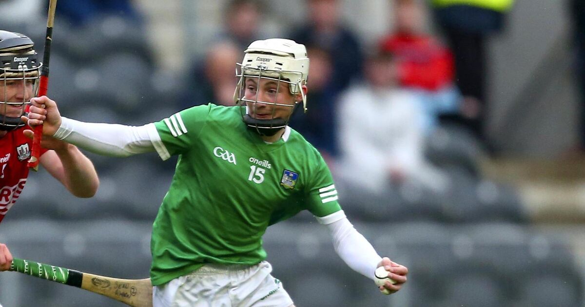 Limerick make it two from two as goals down Clare