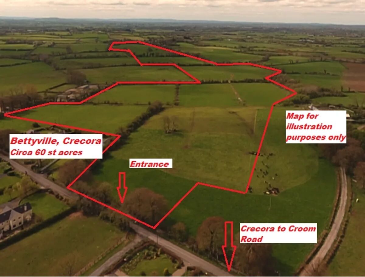 €15k an acre sought for quality limestone farm in Limerick