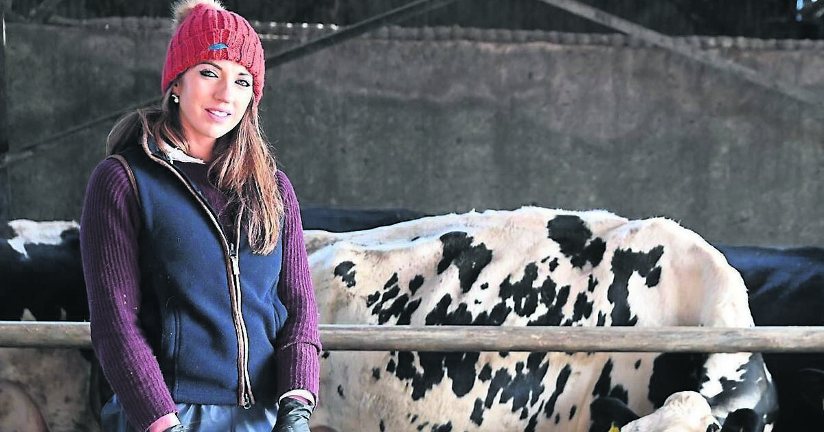 Vet on the Moove: A close call with grass tetany — a true veterinary ...