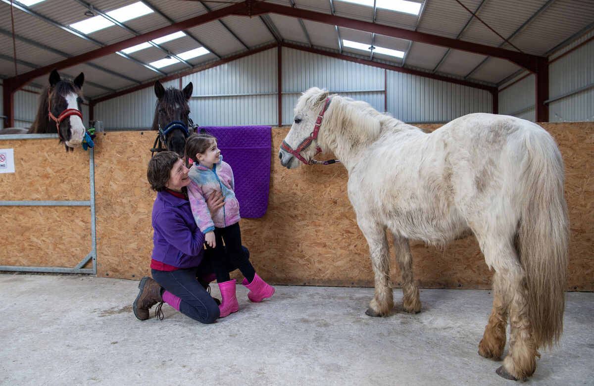 How horses at a care farm in West Cork help children with additional ...