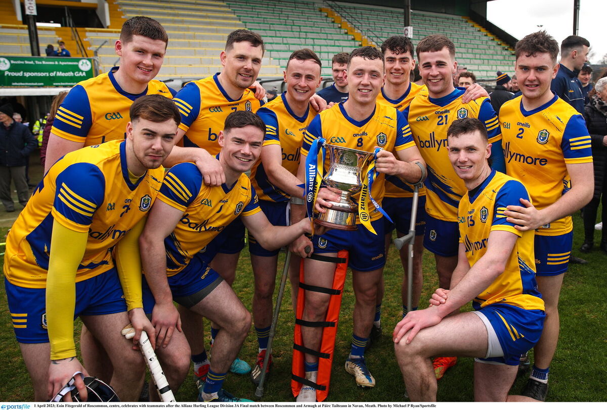 Cavan and Roscommon secure Division Three hurling titles
