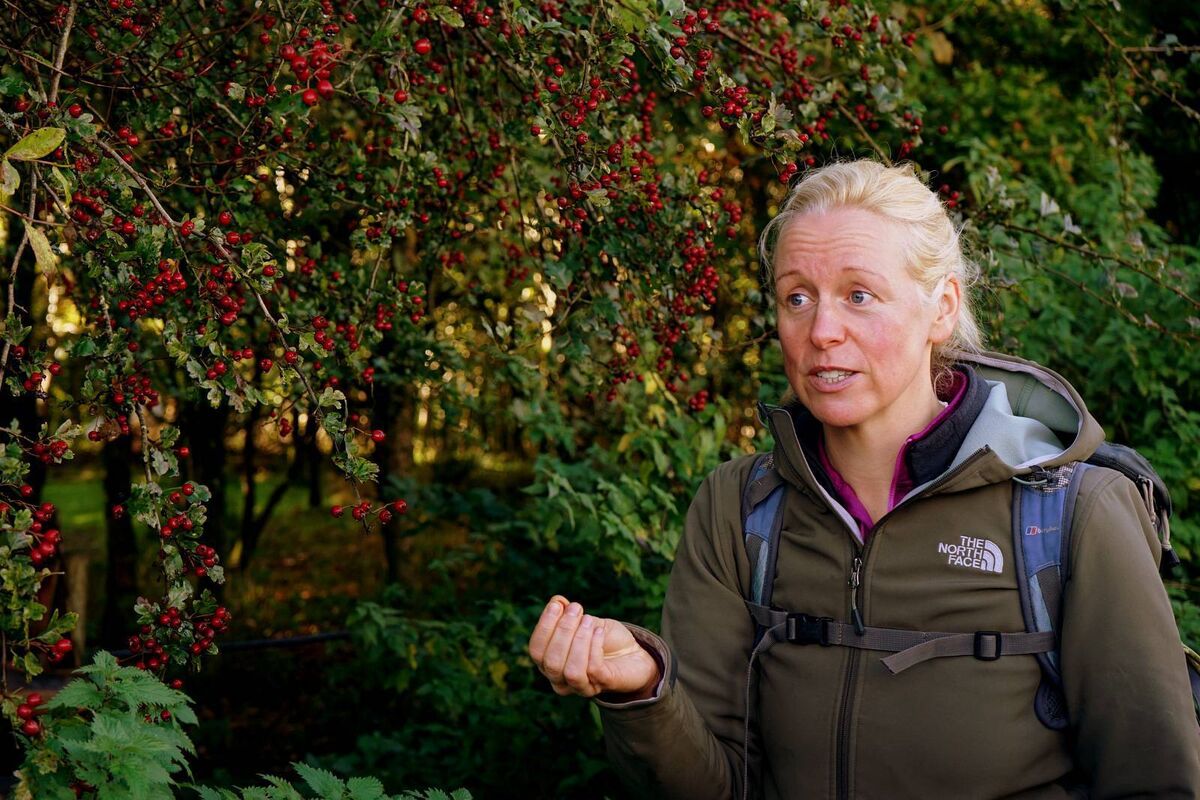 How to use your Easter holidays to explore the great outdoors with your ...