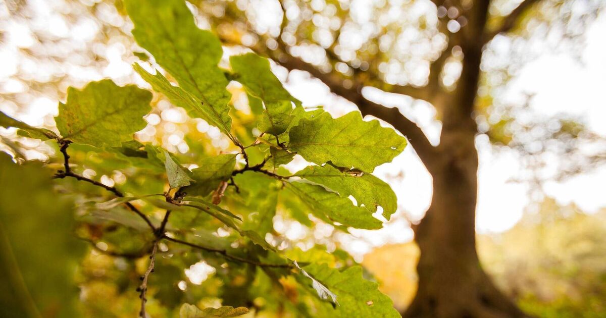 Nature 'literacy' enriches our understanding of the natural world