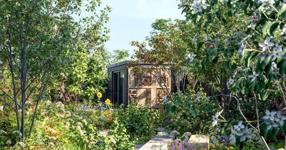 Sustainable gardening: How to make your garden a multilayer food forest