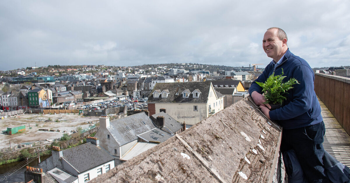 Peter Dowdall: 'Green walls are vital to Cork city's future'