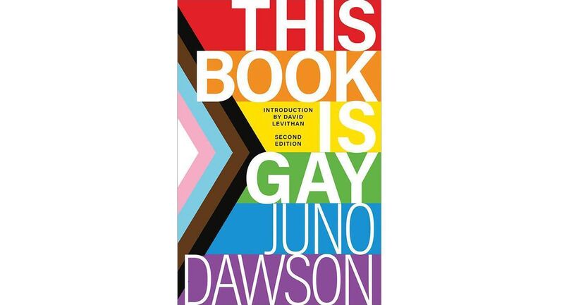 Juno Dawson's 'This Book is Gay' removed from Children's Books Ireland ...