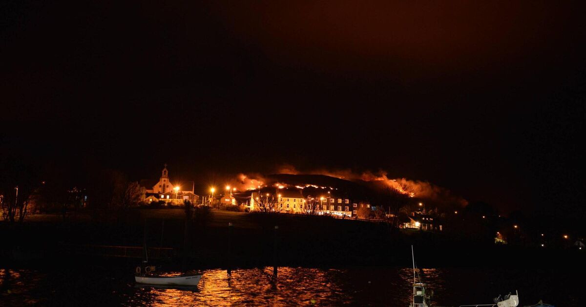 'I didn't even start the gorse fire': Cork businessman lands €6k bill ...