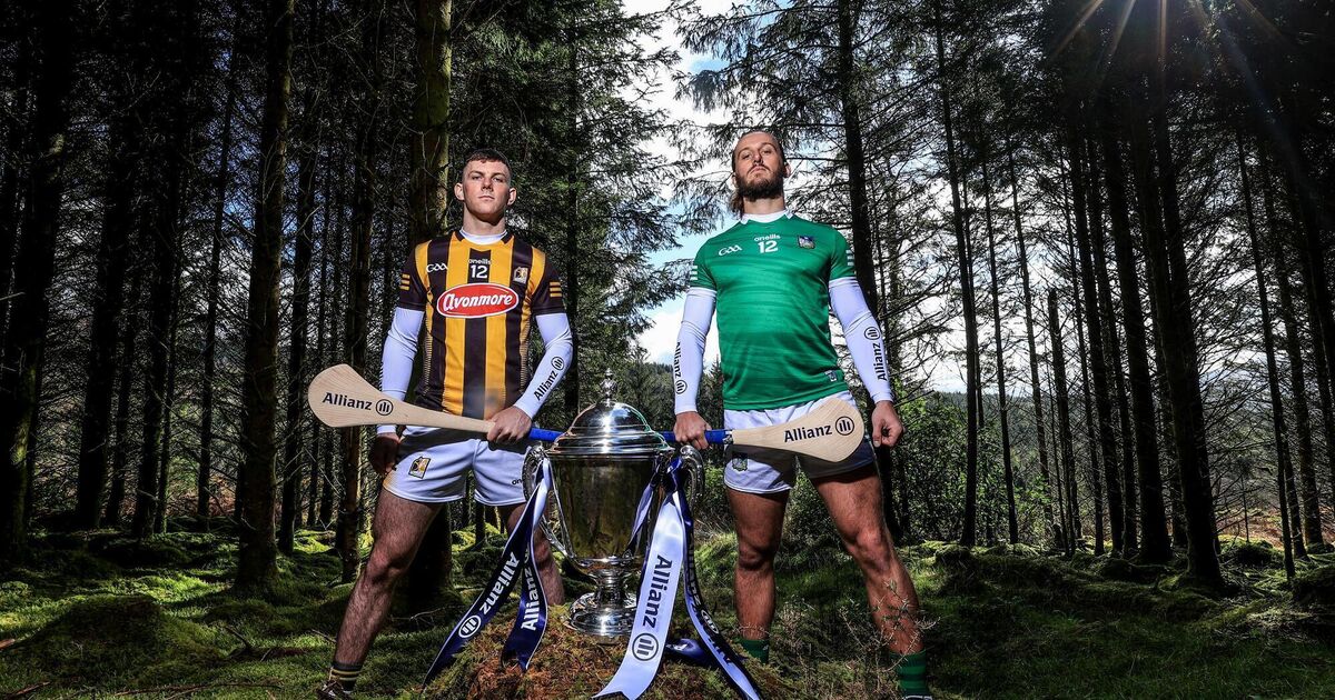 Anthony Daly: Let's see if Kilkenny can come up to Limerick's new standard