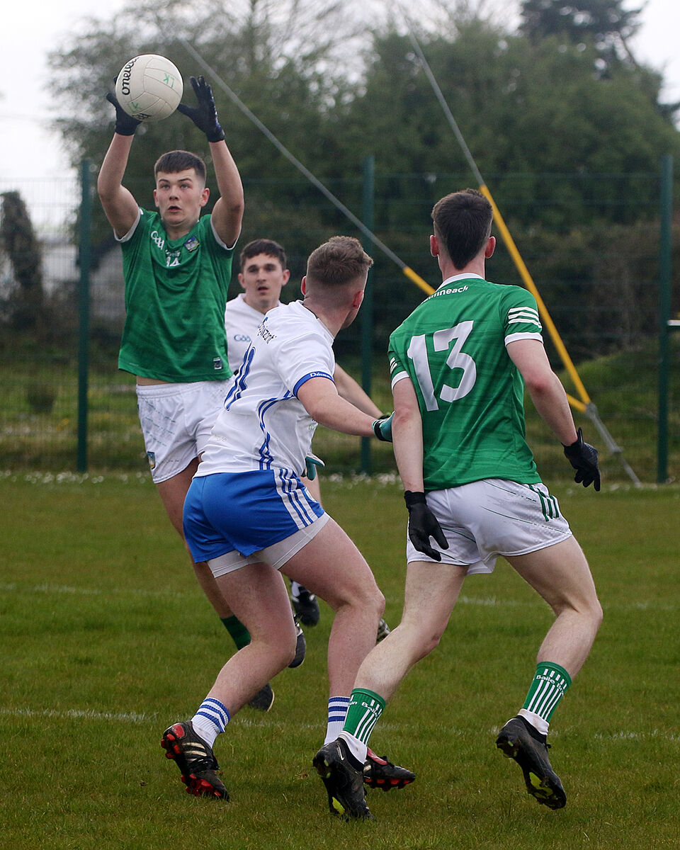 Two late goals send Limerick into Munster U20 football semis