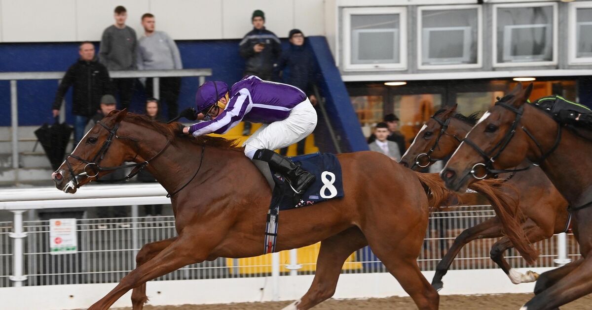 Red Riding Hood survives stewards' inquiry to claim Dundalk victory