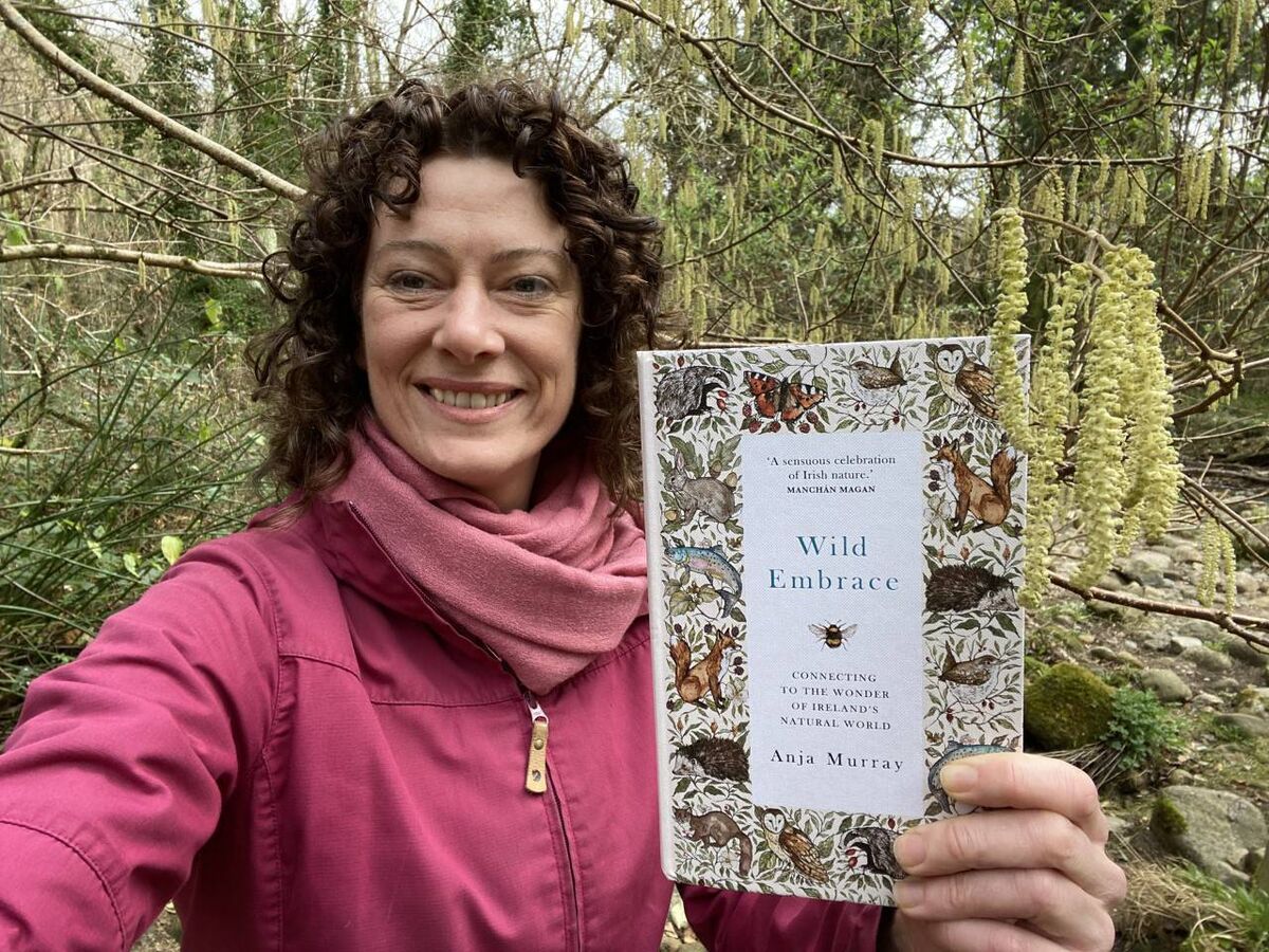 Eoghan Daltun: My 10 favourite nature books