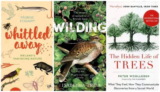 Eoghan Daltun: My 10 favourite nature books