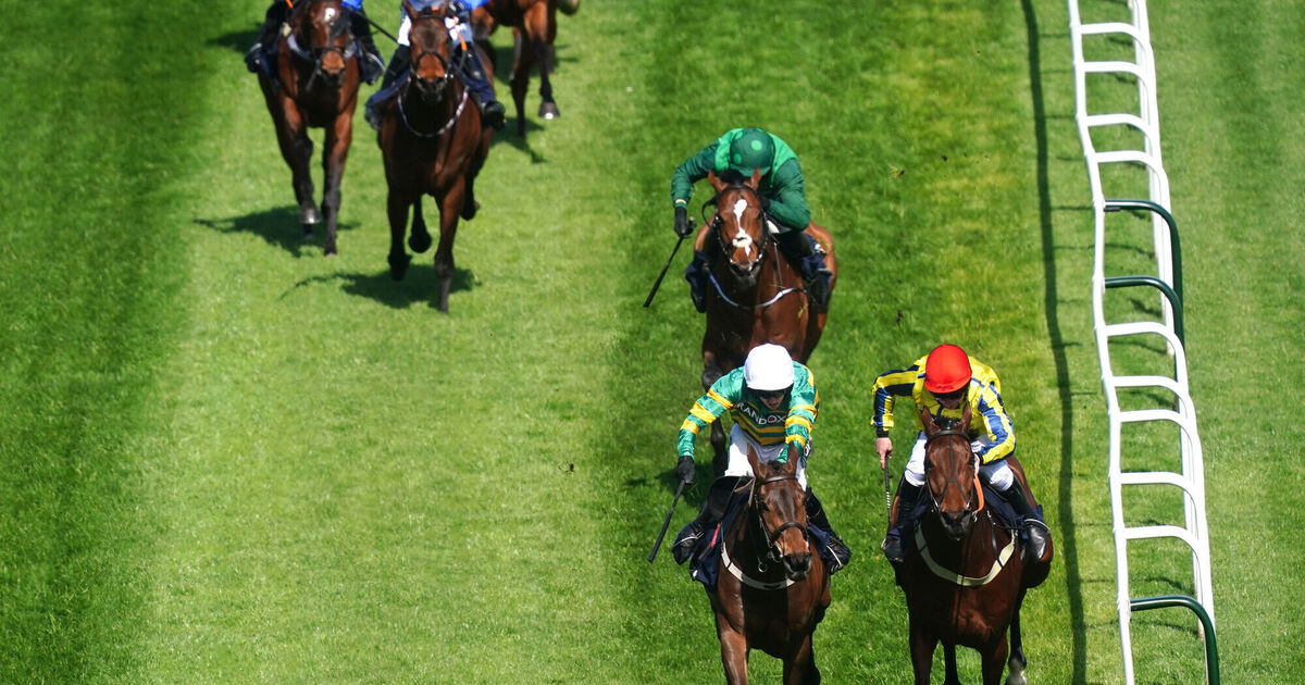 Zenta repels Bo Zenith in Aintree thriller