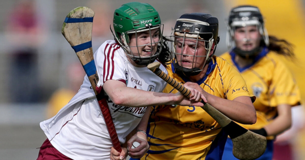 Cathal Murray’s Tribe turn on the power