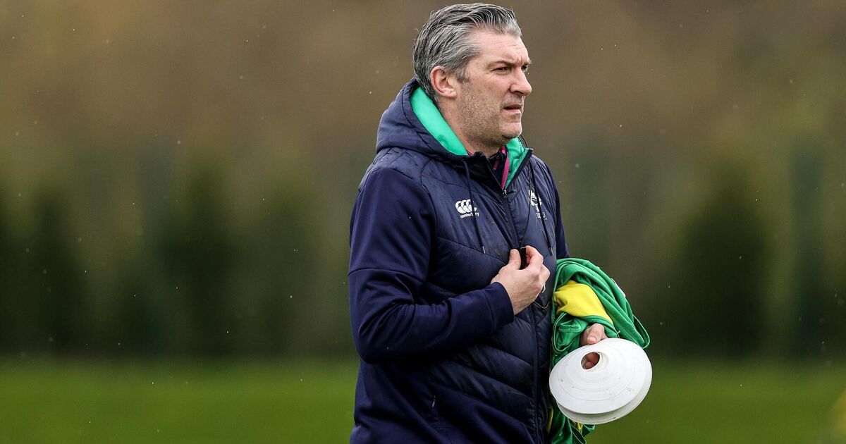Ireland coach Greg McWilliams questions timing of article