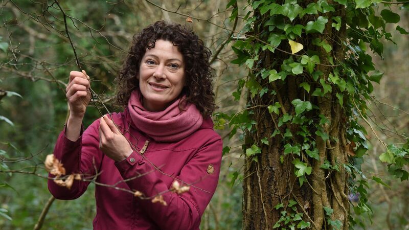 Book Review: Anja Murray's 'Wild Embrace' bears a powerful message