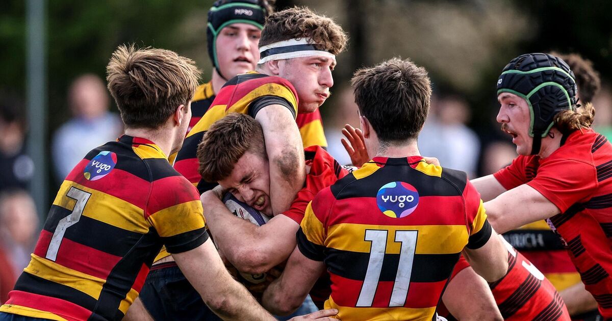 AIL roundup: Cork Con's bonus point win sees them reach semi-final