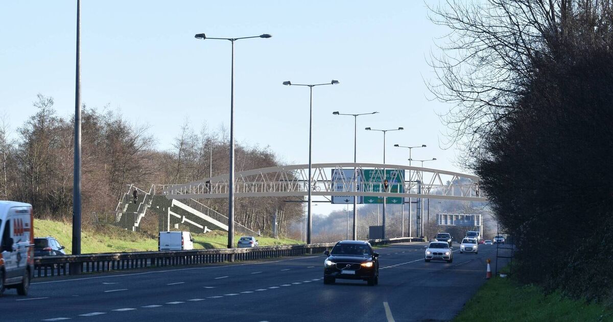 Group calls for new Cork city bridge to be named after historic ...