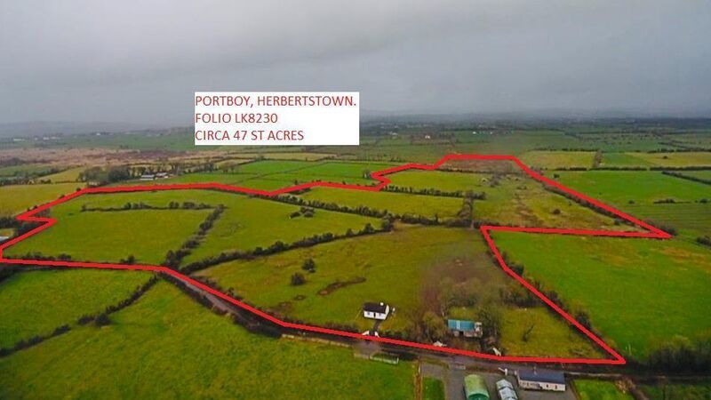 47-acre Limerick farm achieves 'very satisfactory' price at auction