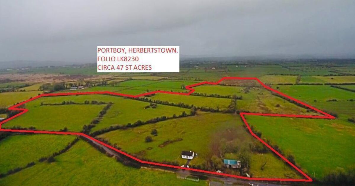 47-acre Limerick farm achieves 'very satisfactory' price at auction
