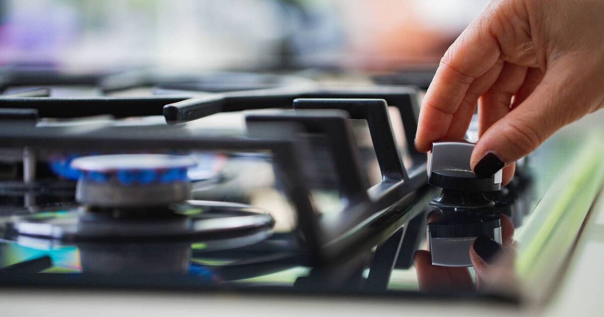 Consumer Interests: Watchdog issues warning on dangerous gas cookers
