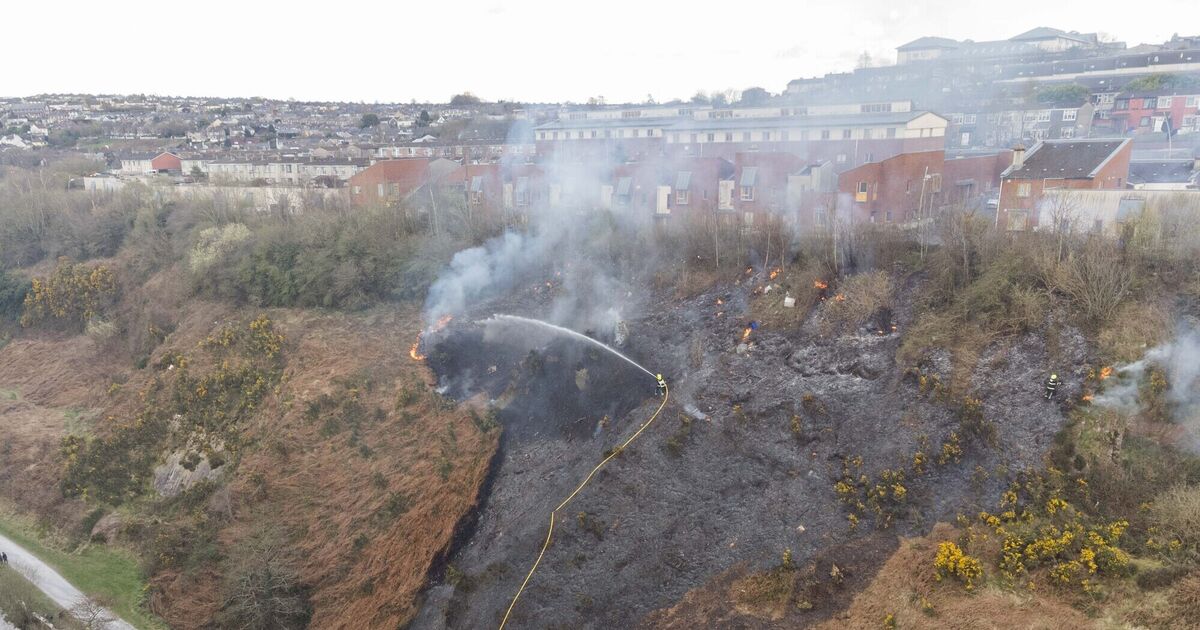Firefighters begin industrial action over staffing shortages