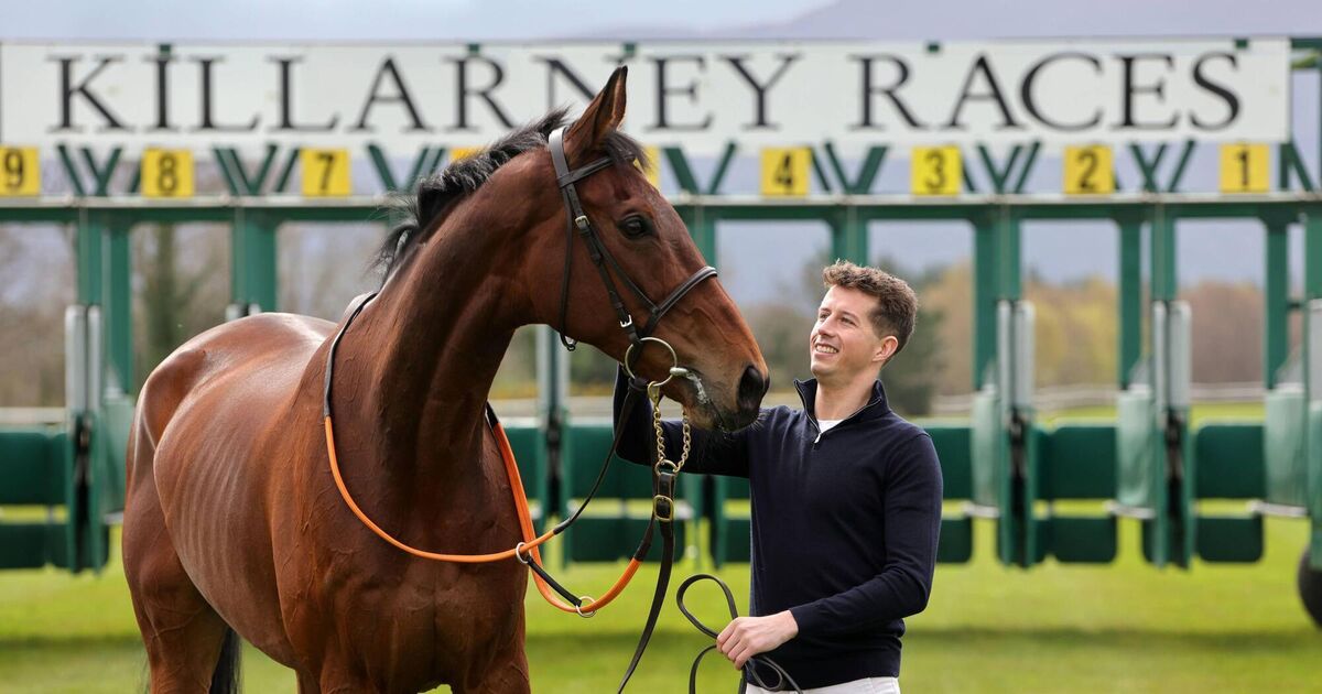 Bryan Cooper named official ambassador for the 2023 season at Killarney ...