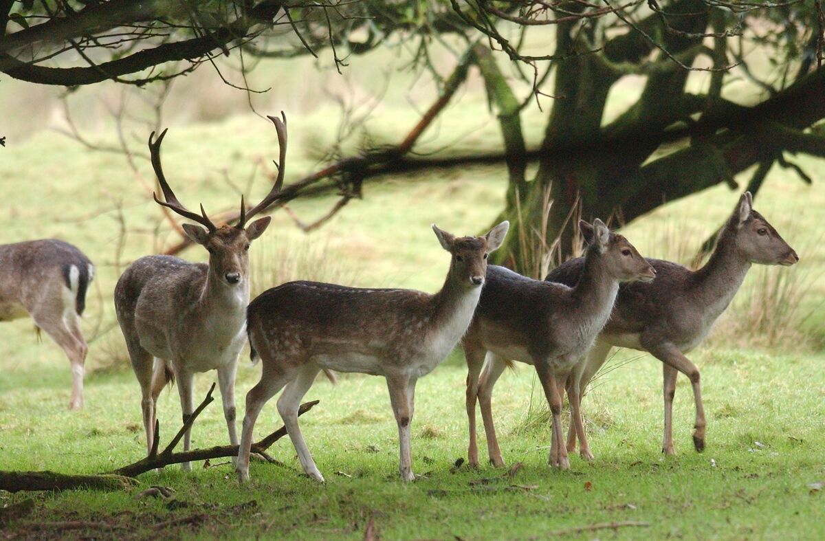 Ahead of the sustainability curve at Farran farmhouse