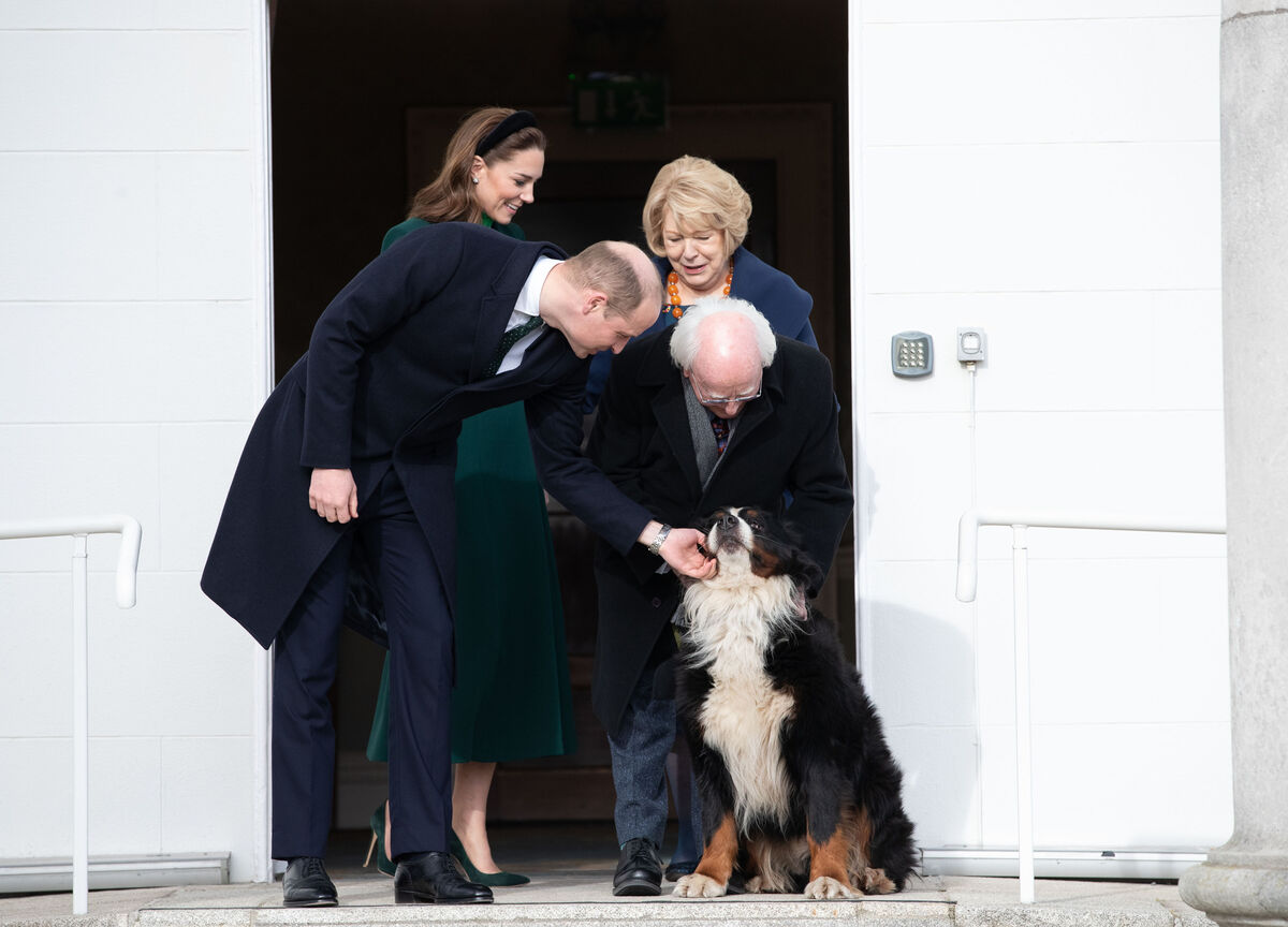 Bród, beloved dog of President Michael D Higgins, dies aged 10