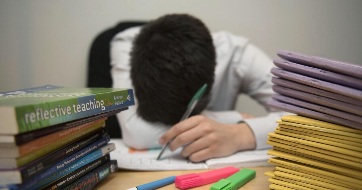 Classroom-based assessments a source of 'futility and frustration ...