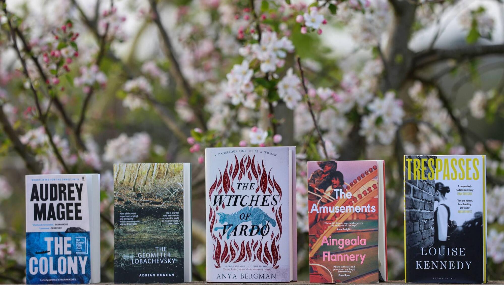Five Irish writers shortlisted for Kerry Group Irish Novel of the Year ...