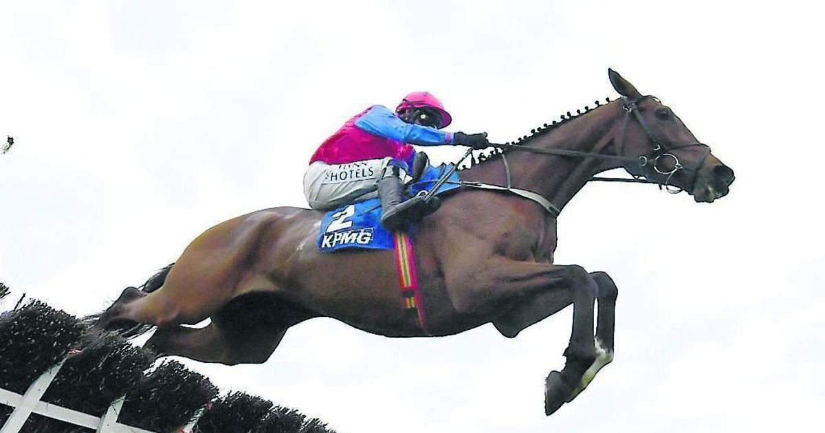 Ruby Walsh: Gaelic Warrior to benefit from step up in distance