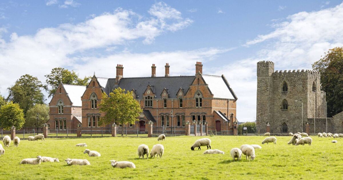 Fancy being able to fly right to the door of your new €10m farm?