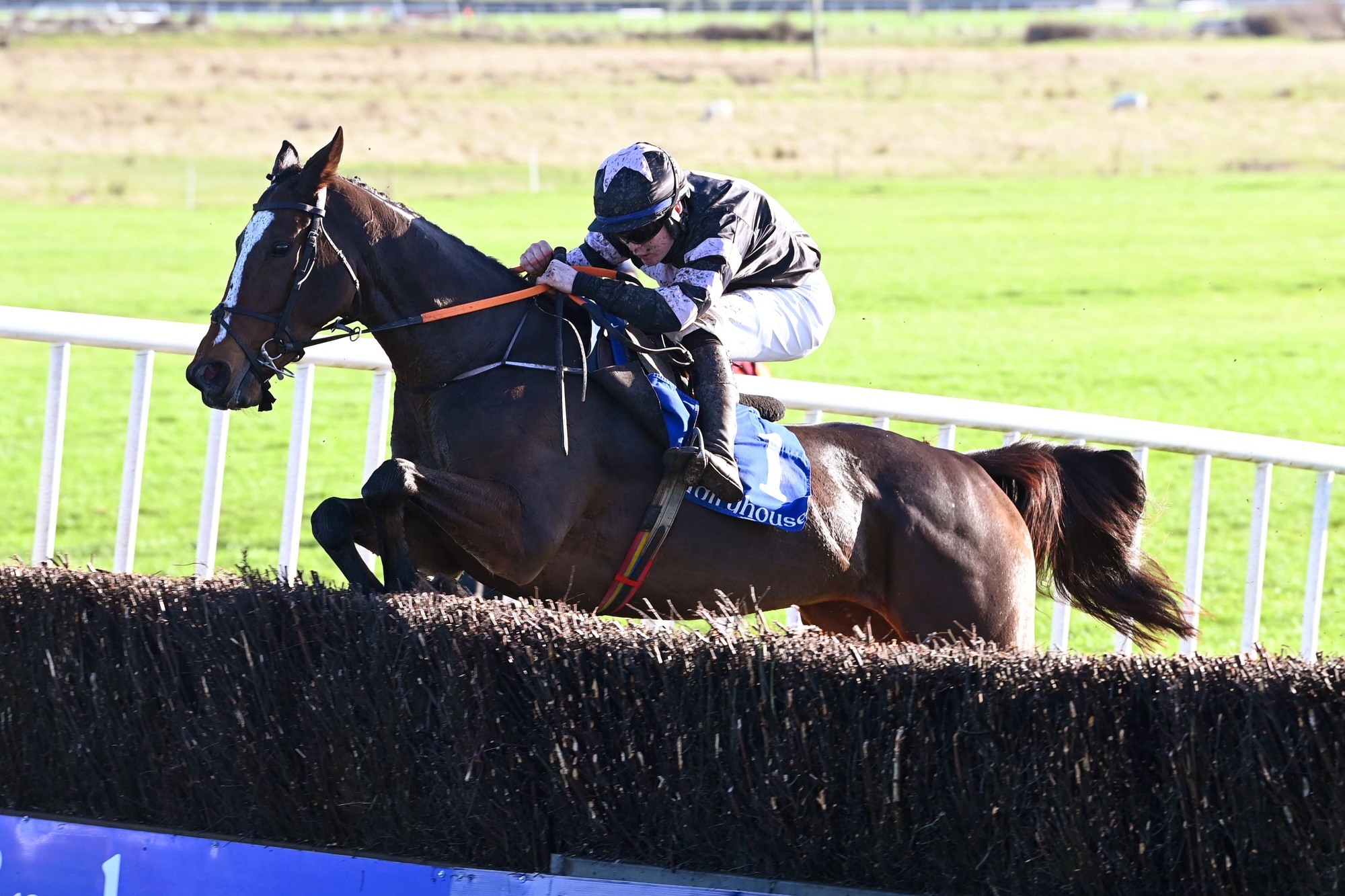 Punchestown tips: Broomfield Hall poised to strike for Philip Dempsey